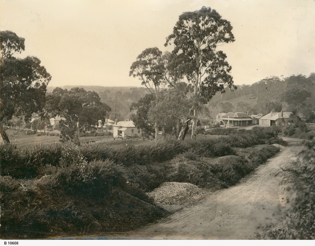 Gumeracha • Photograph • State Library of South Australia