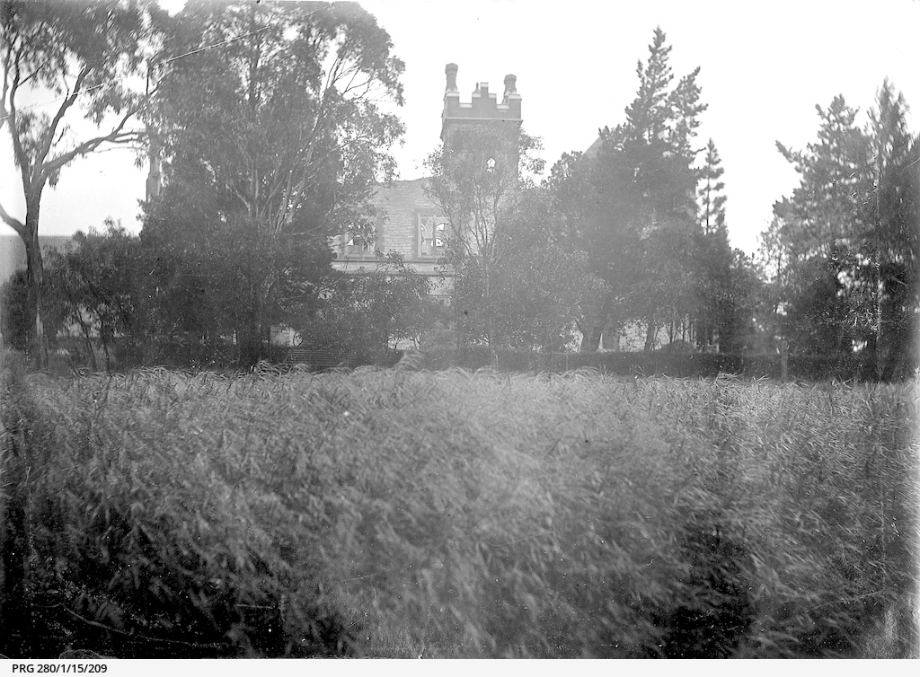 'Mount Breckan' • Photograph • State Library of South Australia