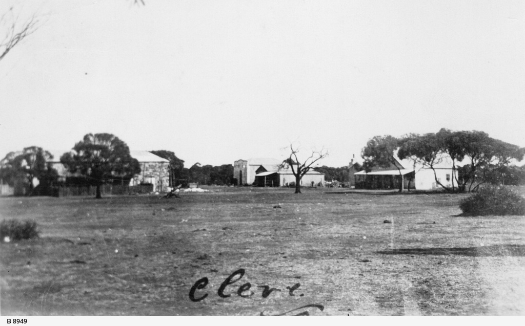 Cleve • Photograph • State Library of South Australia