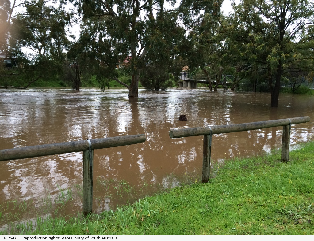 Inman River flooding at Bruce Reserve • Photograph • State Library of ...