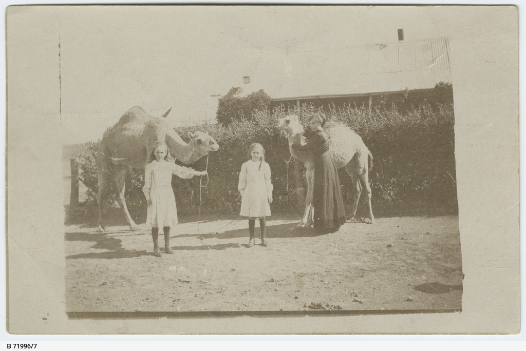 Photographs of the Bailey and Chitty families at Yardea Station ...