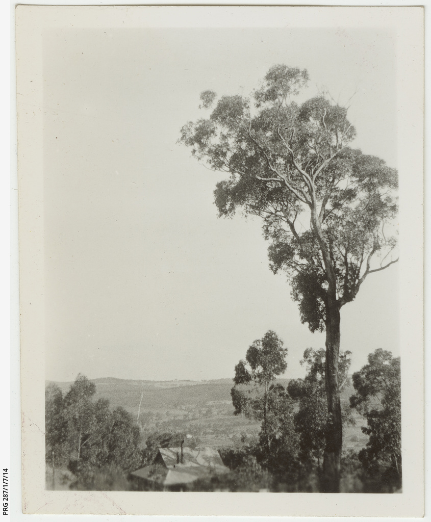 Bridgewater - Adelaide Hills • Photograph • State Library of South ...