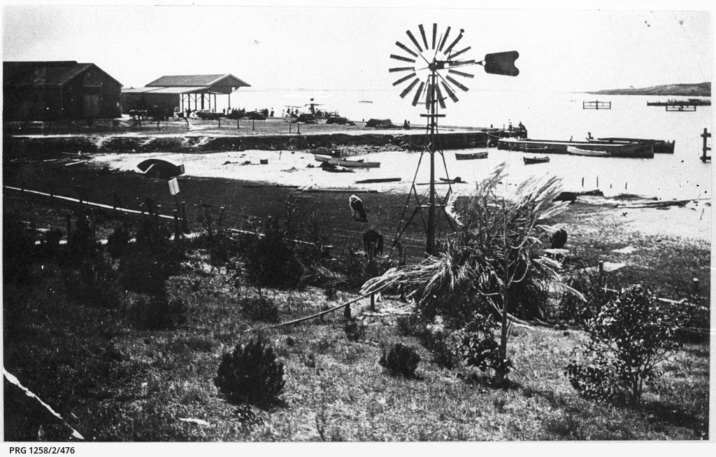 View of early Goolwa with cattle grazing and wharf in distance ...