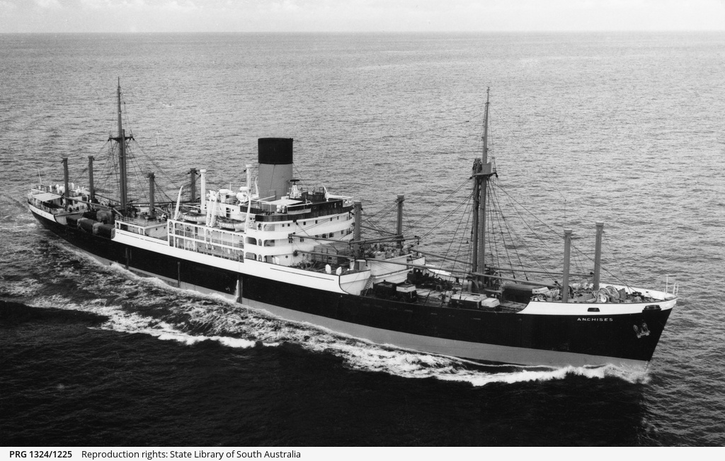 Anchises • Photograph • State Library of South Australia