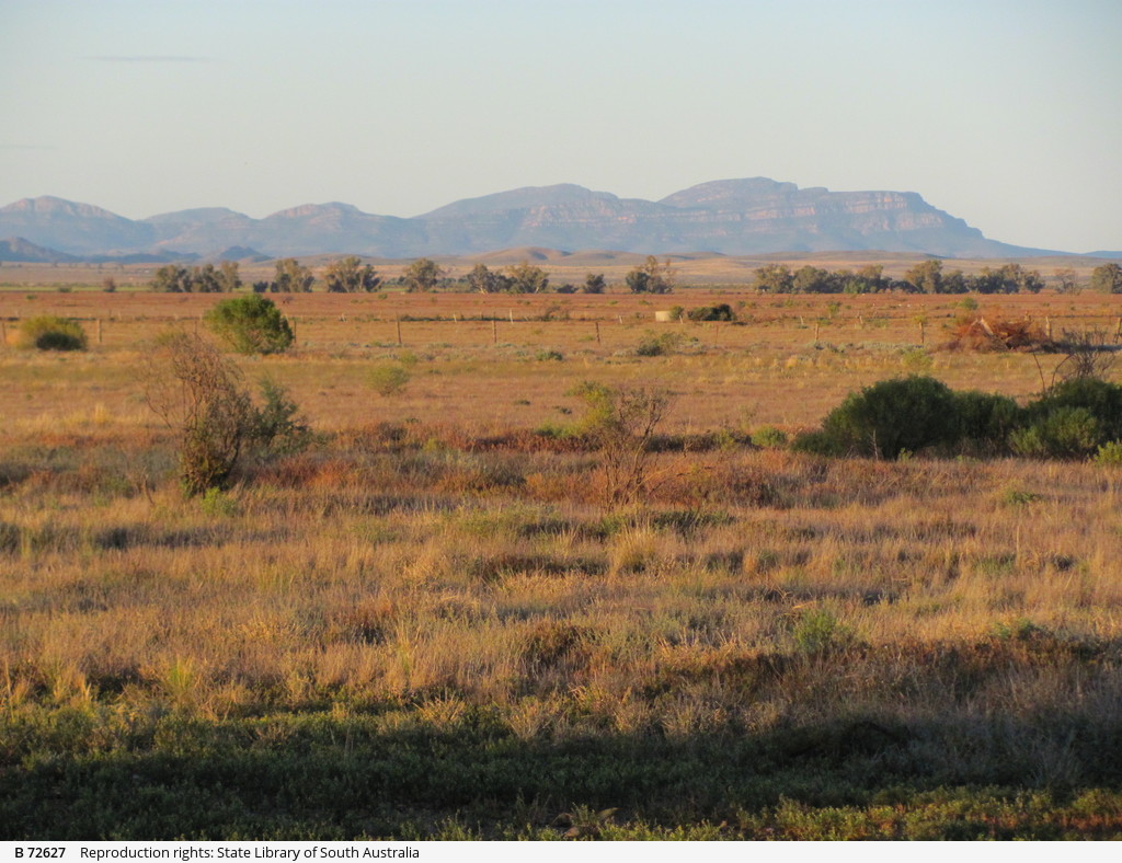 Rawnsley Bluff • Photograph • State Library of South Australia