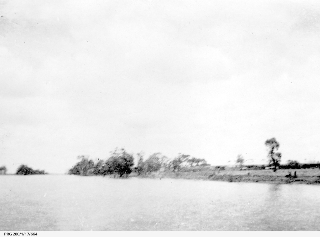 Moorook on the Murray River, South Australia • Photograph • State ...
