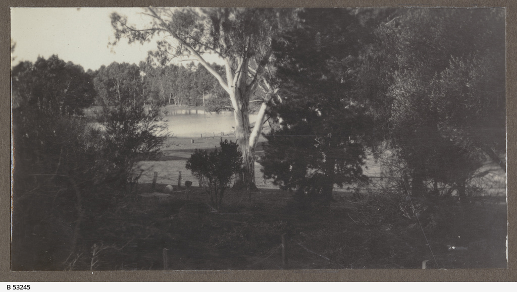 Martindale Hall, Mintaro • Photograph • State Library of South Australia