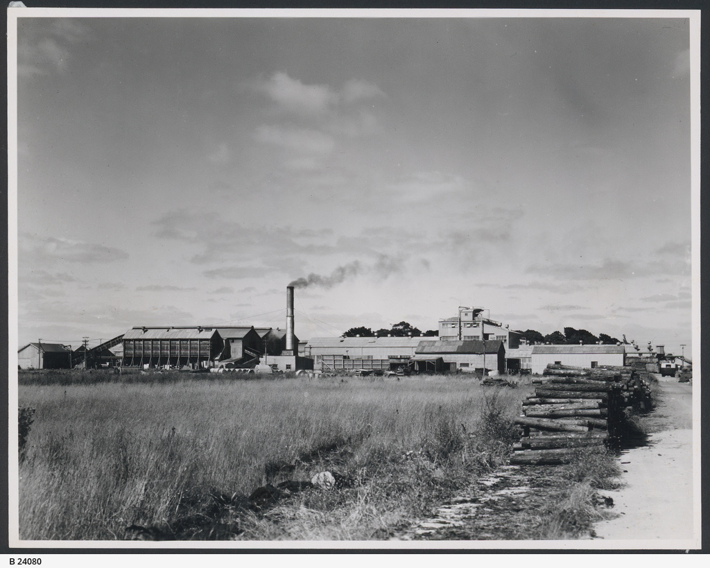 Millicent, Cellulose Mill • Photograph • State Library of South Australia