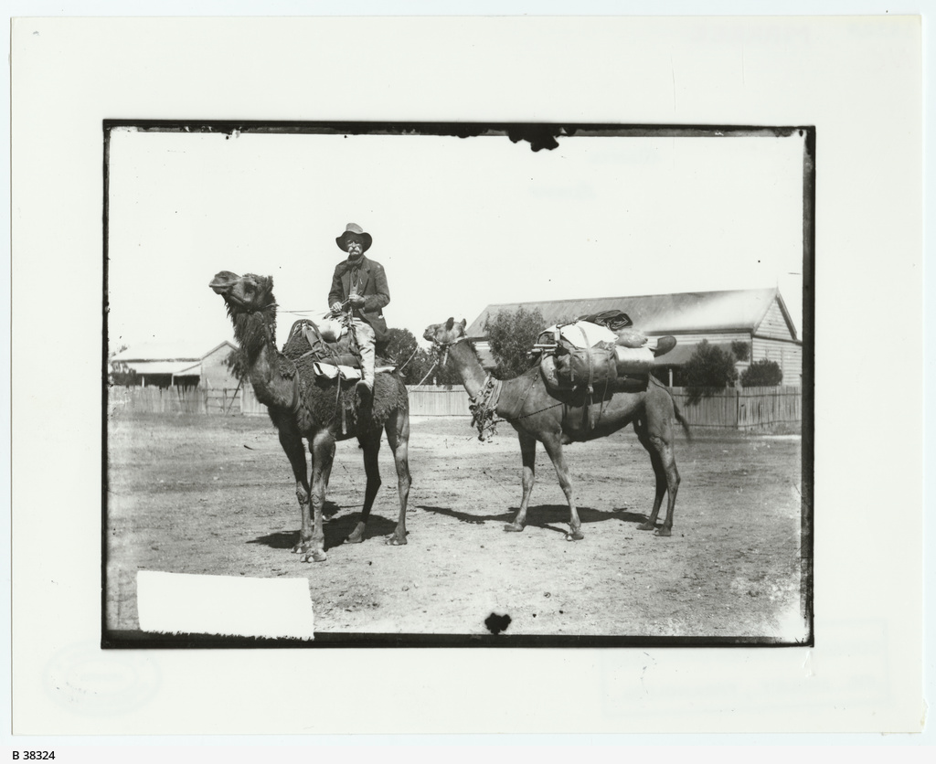 Drover, Marree • Photograph • State Library of South Australia