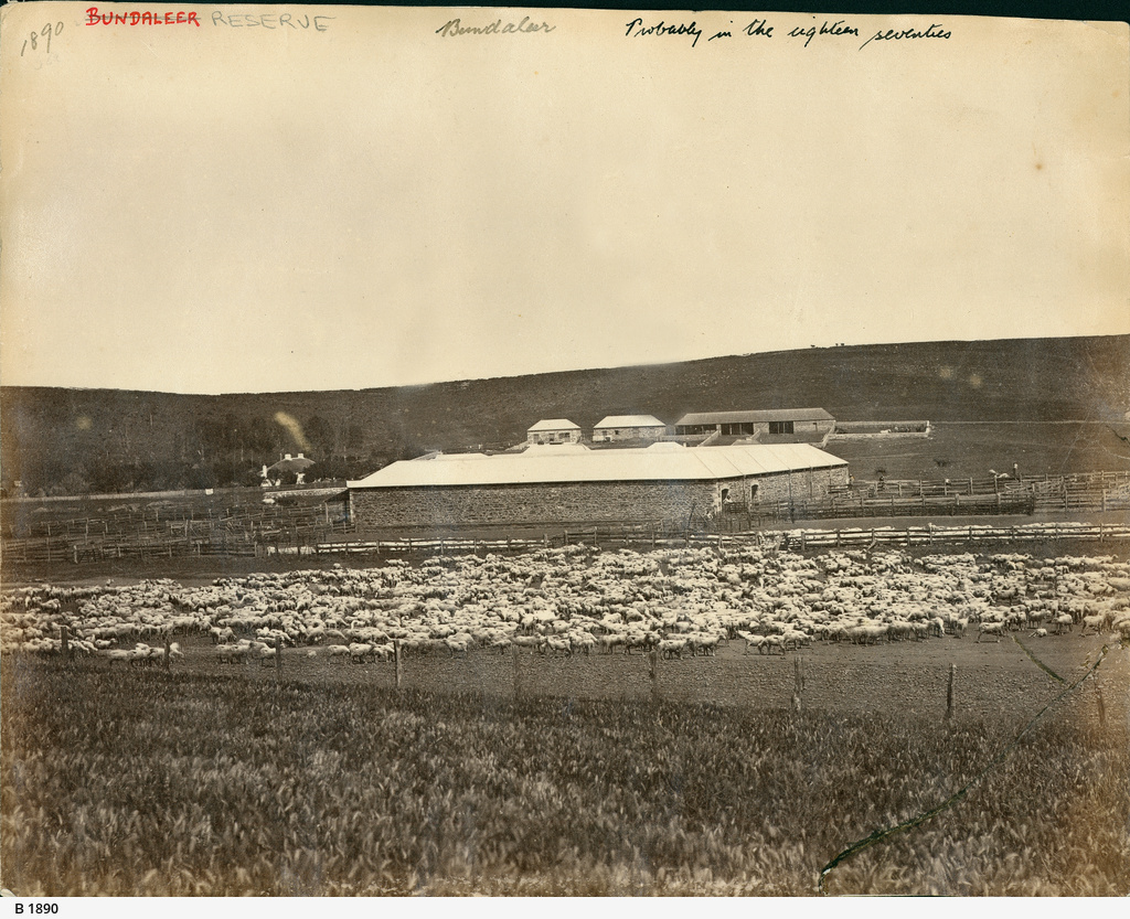 Bundaleer Station • Photograph • State Library of South Australia