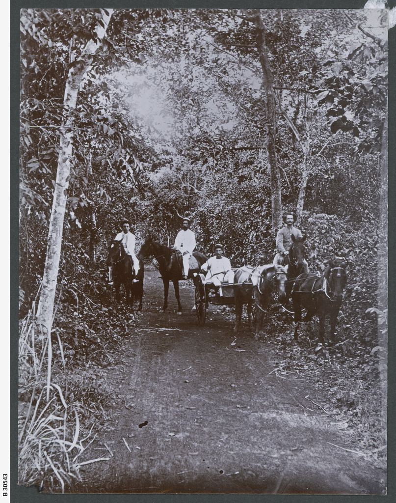 Darwin • Photograph • State Library of South Australia