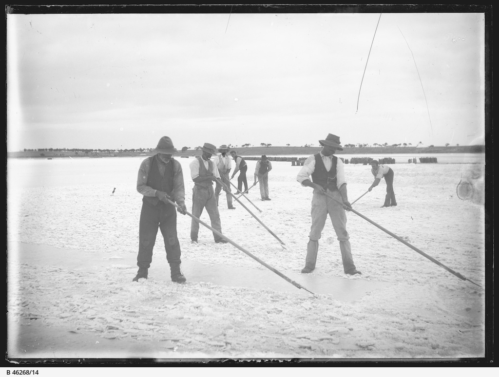 Lake Fowler Salt Workers • Photograph • State Library of South Australia