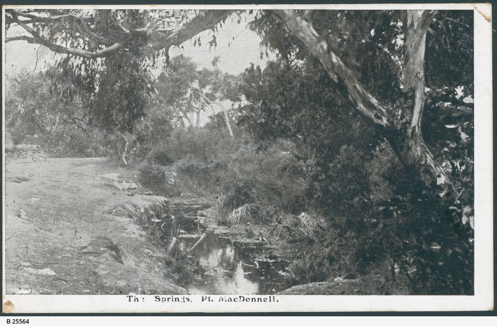 Springs at Port MacDonnell • Photograph • State Library of South Australia