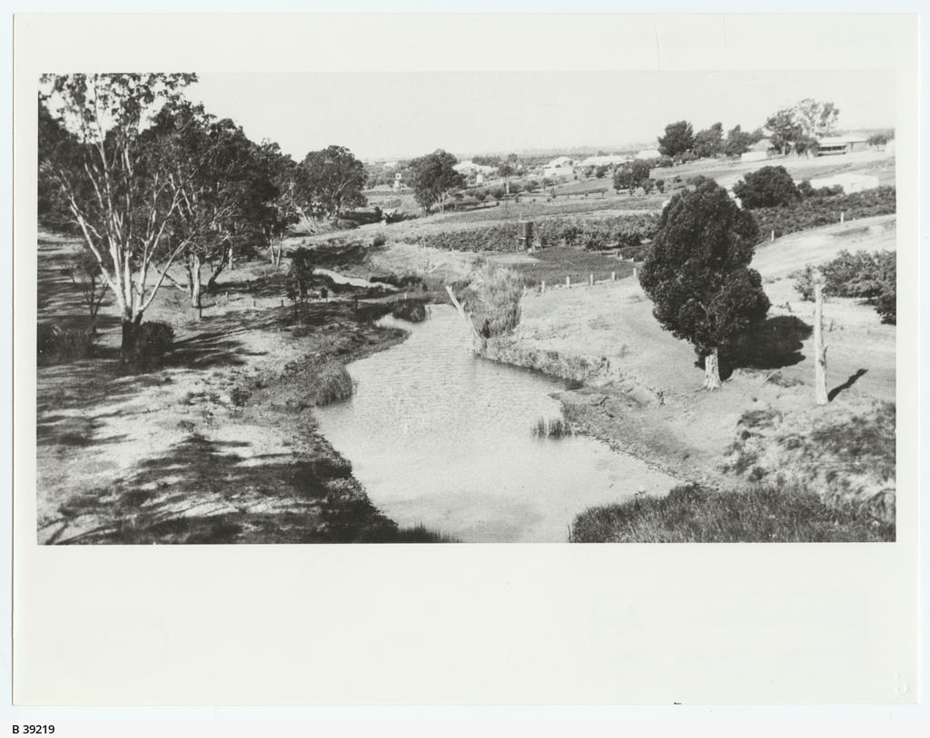 Tanunda • Photograph • State Library of South Australia