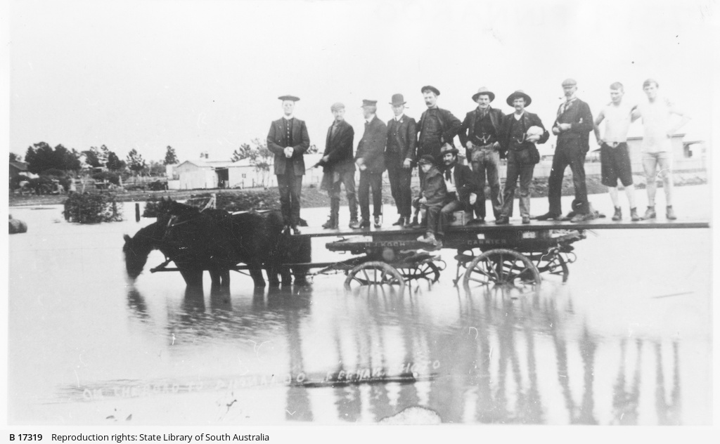 Pinnaroo • Photograph • State Library of South Australia