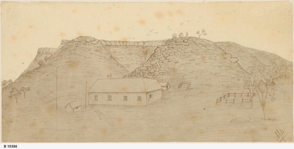 Overland Telegraph Line • Photograph • State Library of South Australia