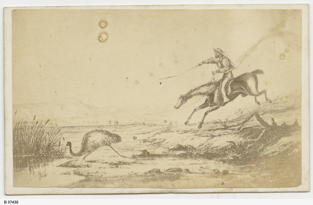 Emu Hunting • Photograph • State Library of South Australia
