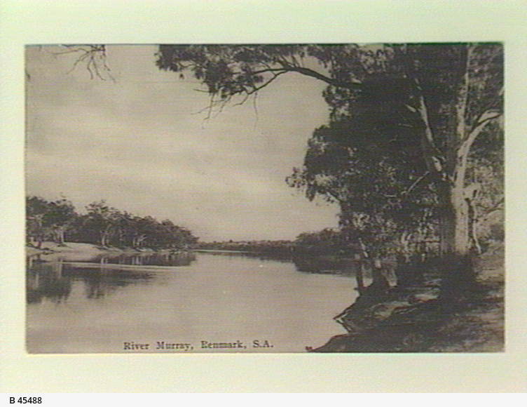 River Murray, Renmark • Photograph • State Library of South Australia