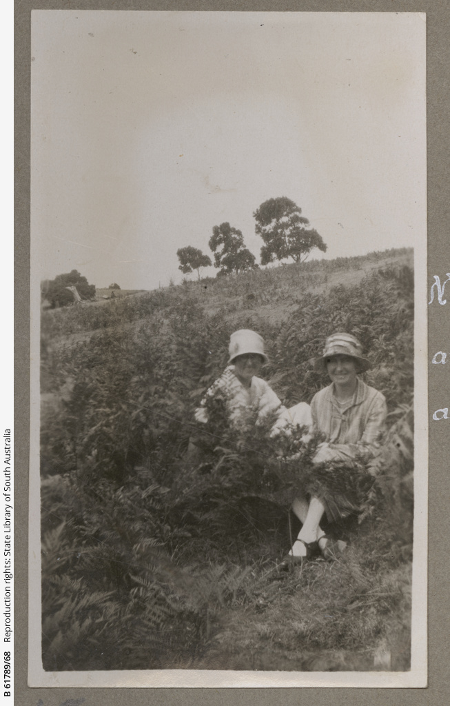 Photograph album of Miss Molly Stokes • Photograph • State Library of ...