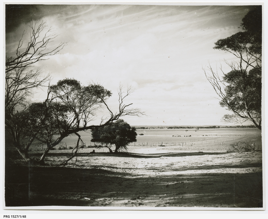 Photograph album of Ceduna • Photograph • State Library of South Australia