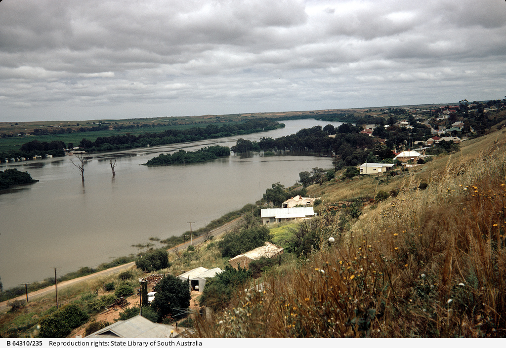 The Wenmouth Collection : Mannum • Photograph • State Library of South ...