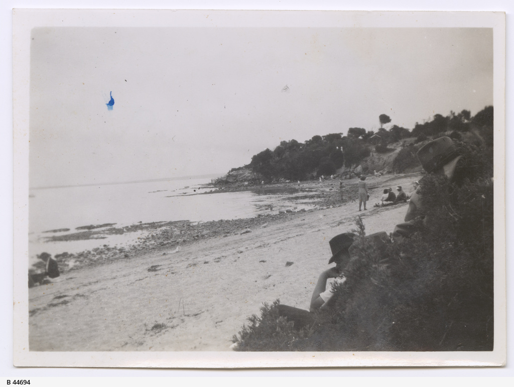Karatta, Kangaroo Island • Photograph • State Library of South Australia