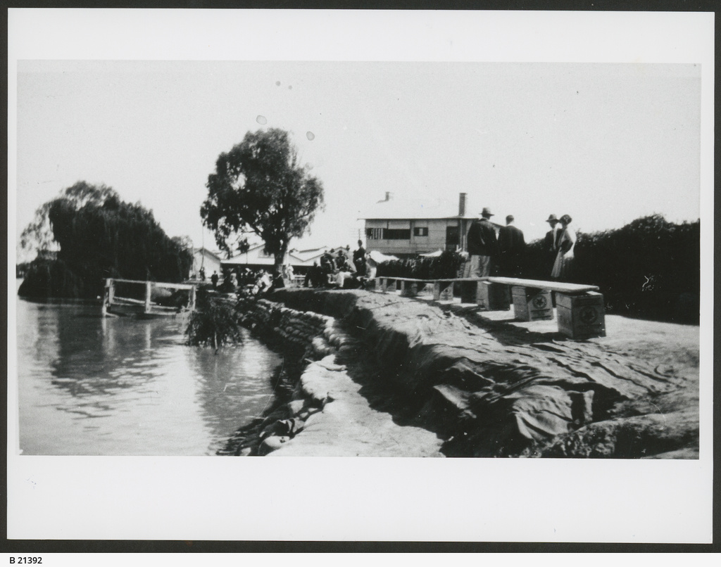 Renmark • Photograph • State Library of South Australia
