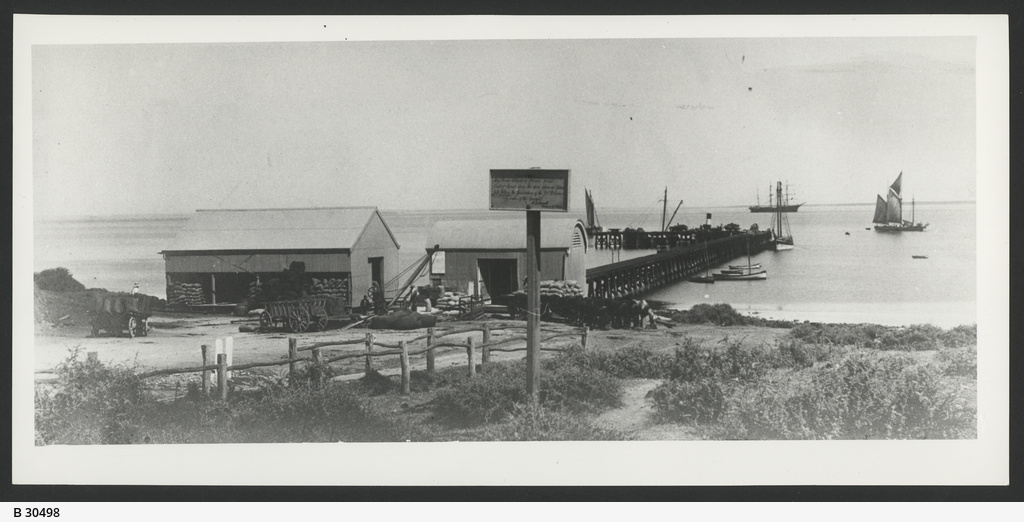 Port Victoria Jetty • Photograph • State Library of South Australia