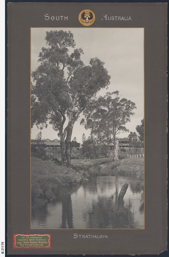 Strathalbyn • Photograph • State Library of South Australia