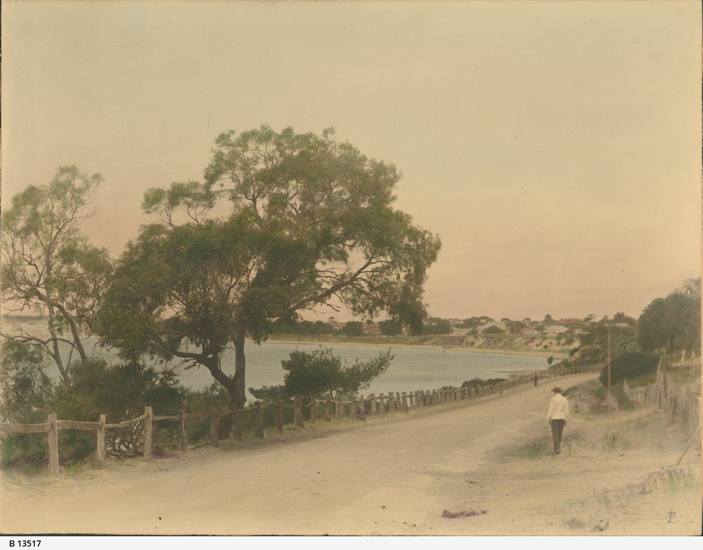 Port Lincoln • Photograph • State Library of South Australia