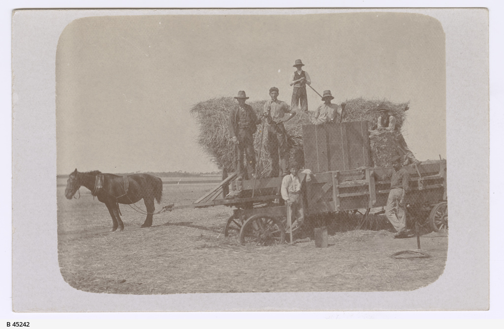 Freeling • Photograph • State Library of South Australia
