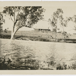 Cordillo Downs Station • Photograph • State Library of South Australia
