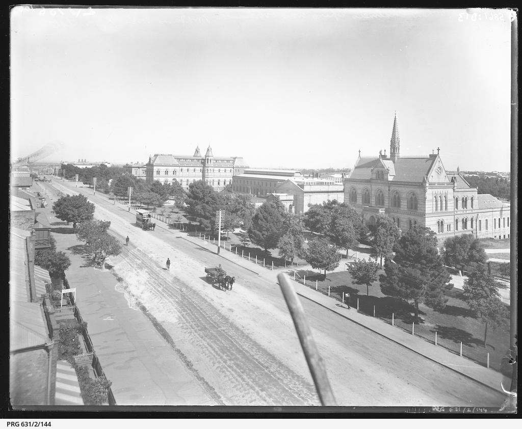 North Terrace, Adelaide • Photograph • State Library of South Australia