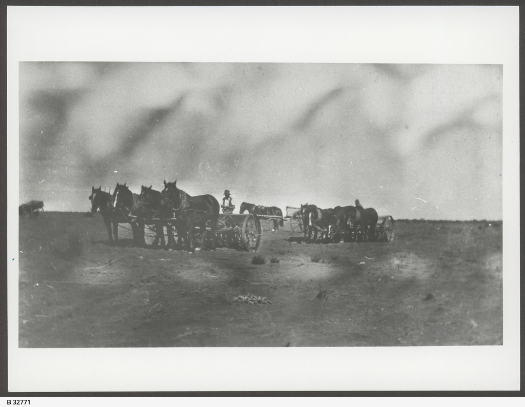 Swan Reach • Photograph • State Library of South Australia