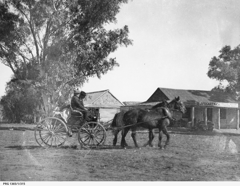 Buggy being driven past store • Photograph • State Library of South ...