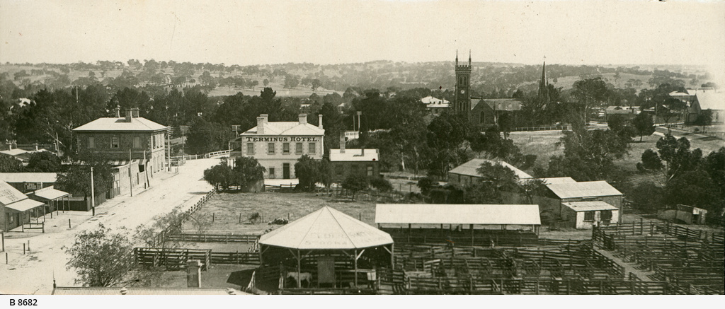 Strathalbyn • Photograph • State Library of South Australia