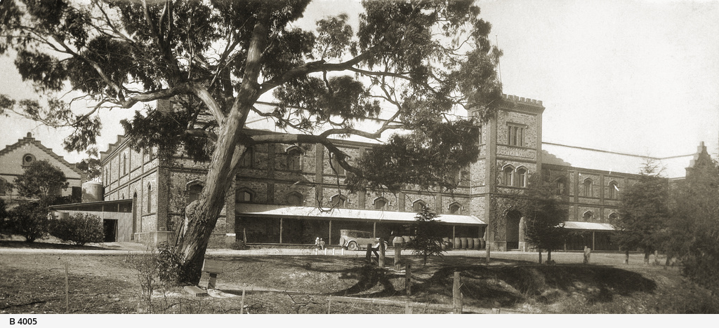 Chateau Tanunda • Photograph • State Library of South Australia