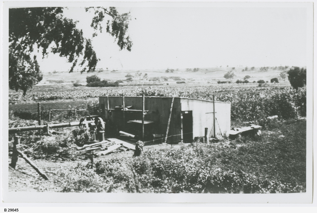 Long Flat • Photograph • State Library of South Australia