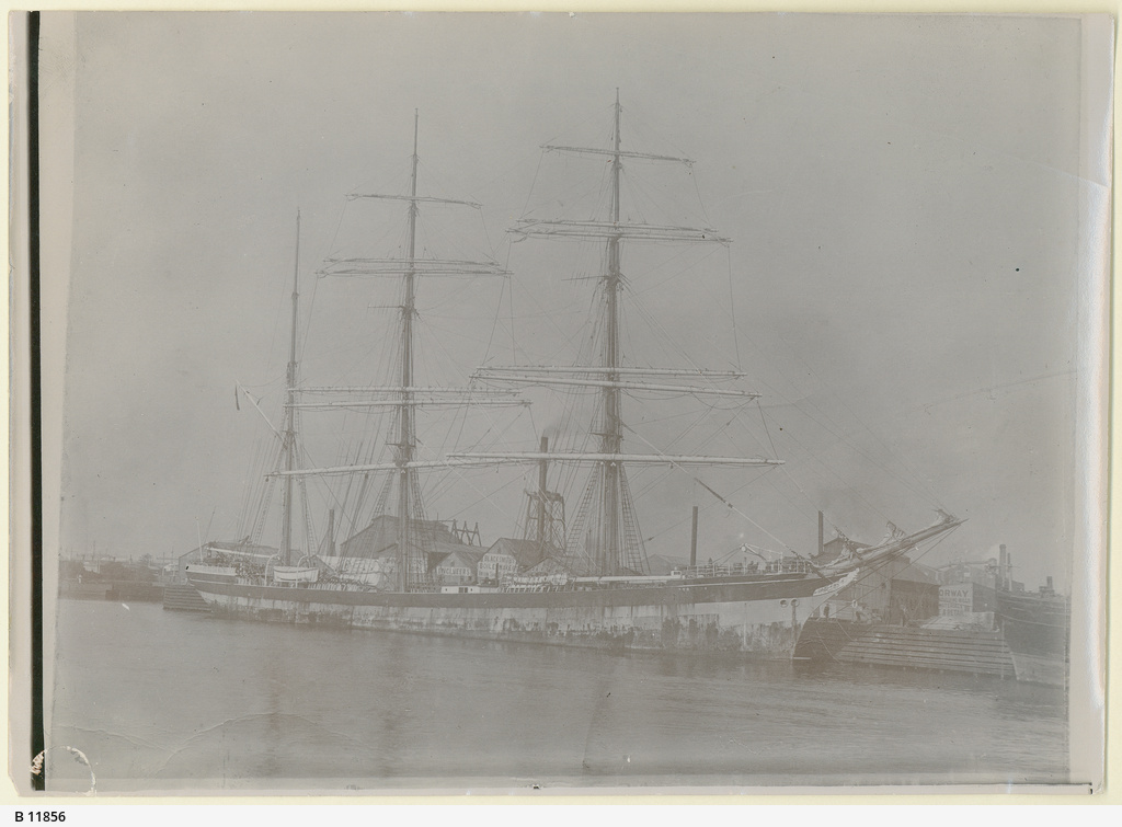 The "Procyon" • Photograph • State Library of South Australia