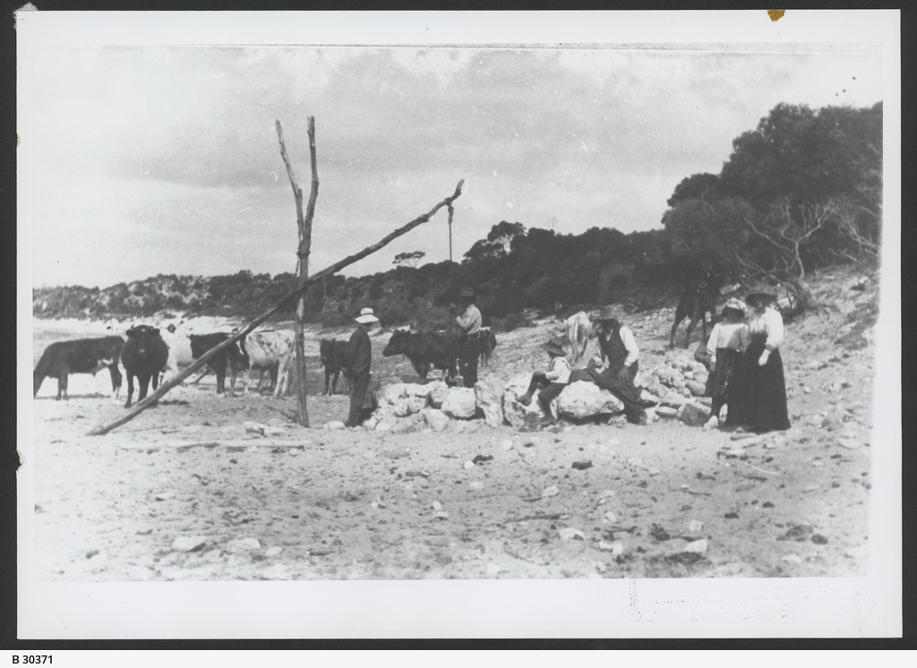 Emu Bay • Photograph • State Library of South Australia