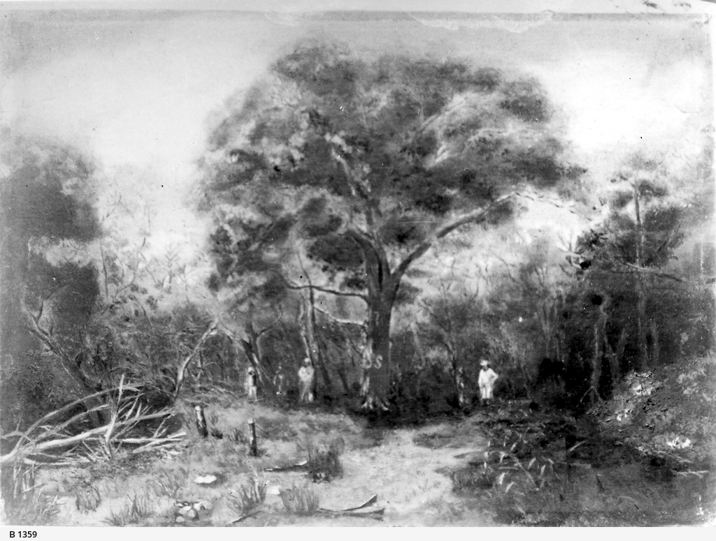 J. McD. Stuart Expeditions • Photograph • State Library of South Australia