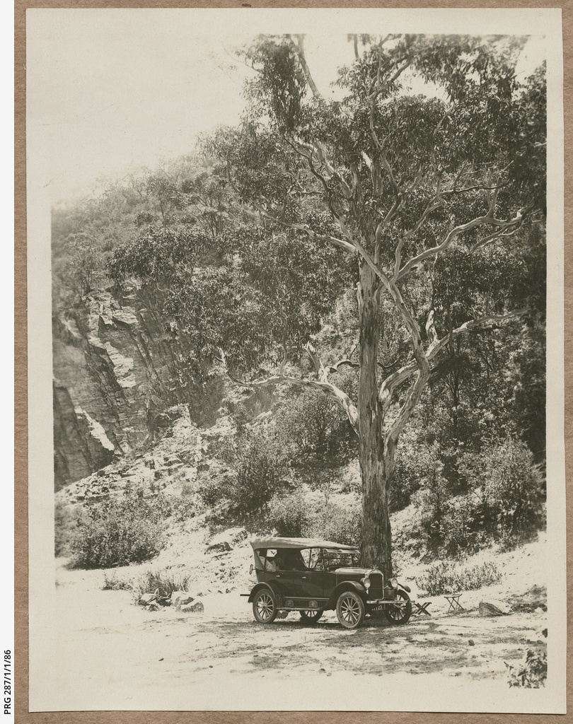 'On Montacute Road' • Photograph • State Library of South Australia