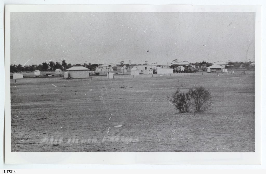 Pinnaroo • Photograph • State Library of South Australia