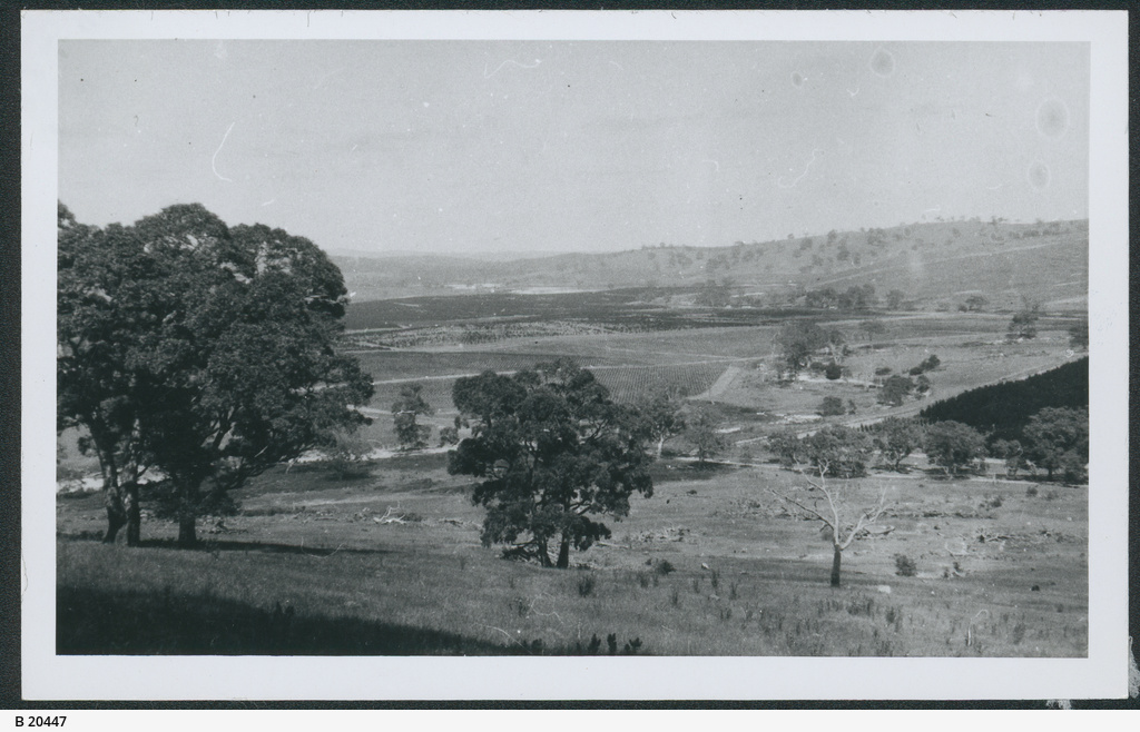 Mount Crawford • Photograph • State Library of South Australia