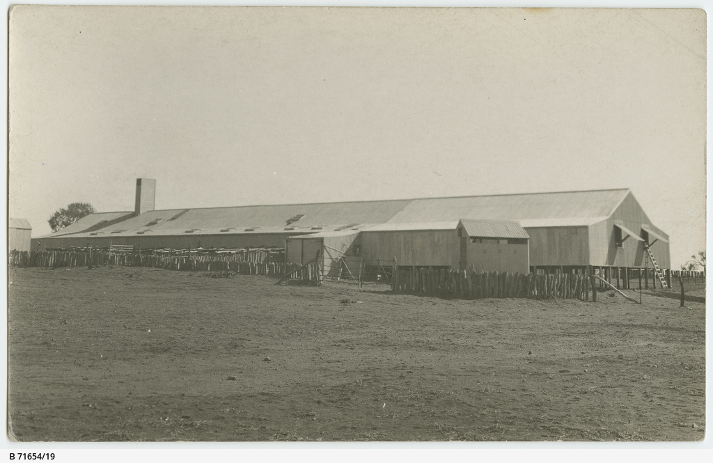 Outback stations in western NSW • Photograph • State Library of South ...