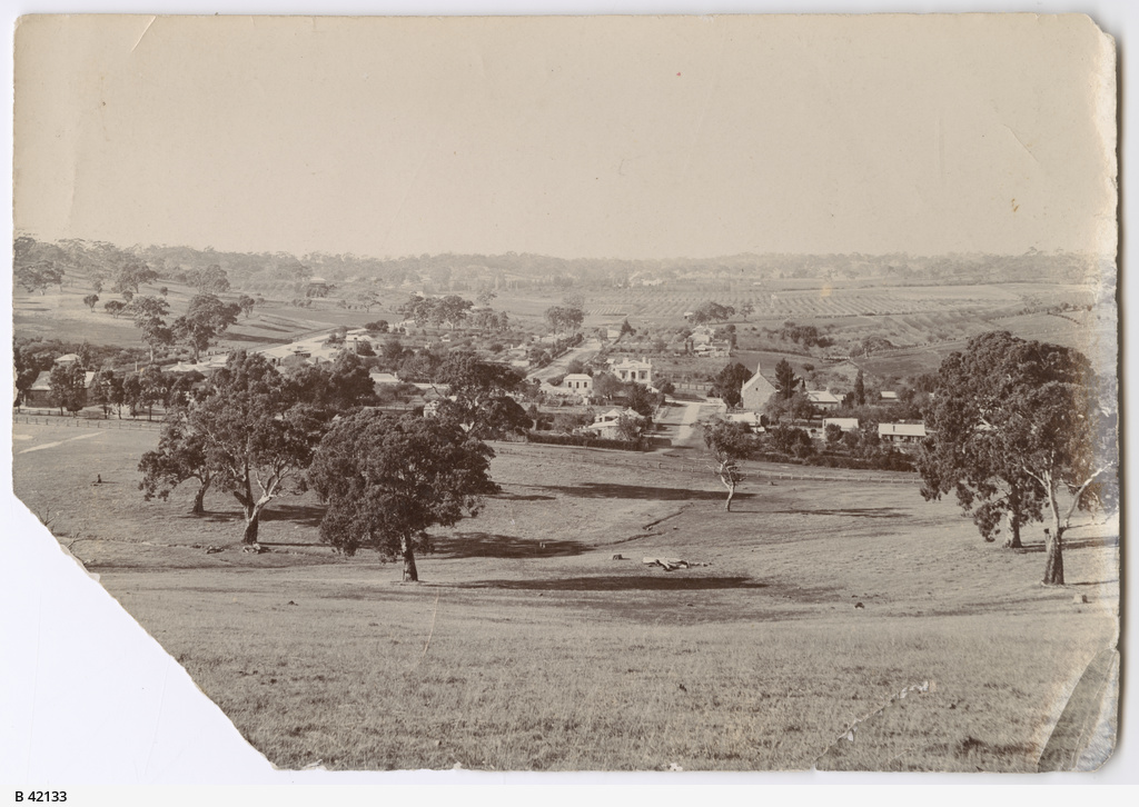 Angaston • Photograph • State Library of South Australia