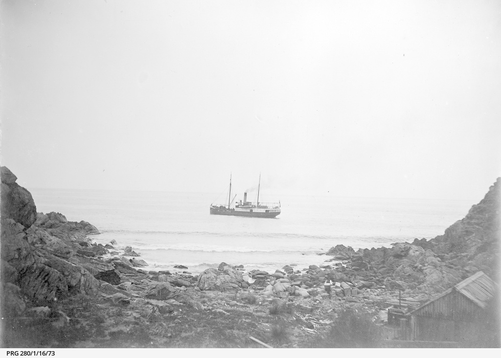 SS 'Governor Musgrave' at sea off Harveys Return, Kangaroo Island ...