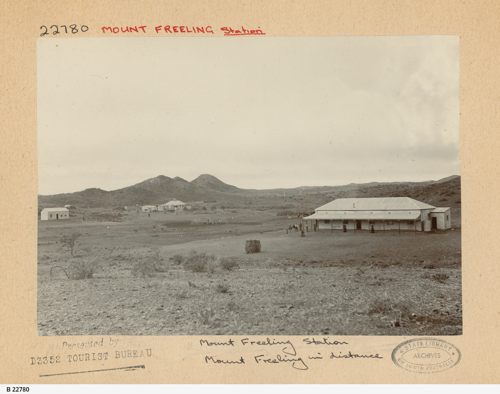 Mt Freeling Station • Photograph • State Library of South Australia