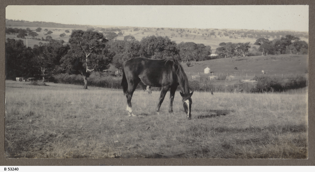 Martindale Hall, Mintaro • Photograph • State Library of South Australia