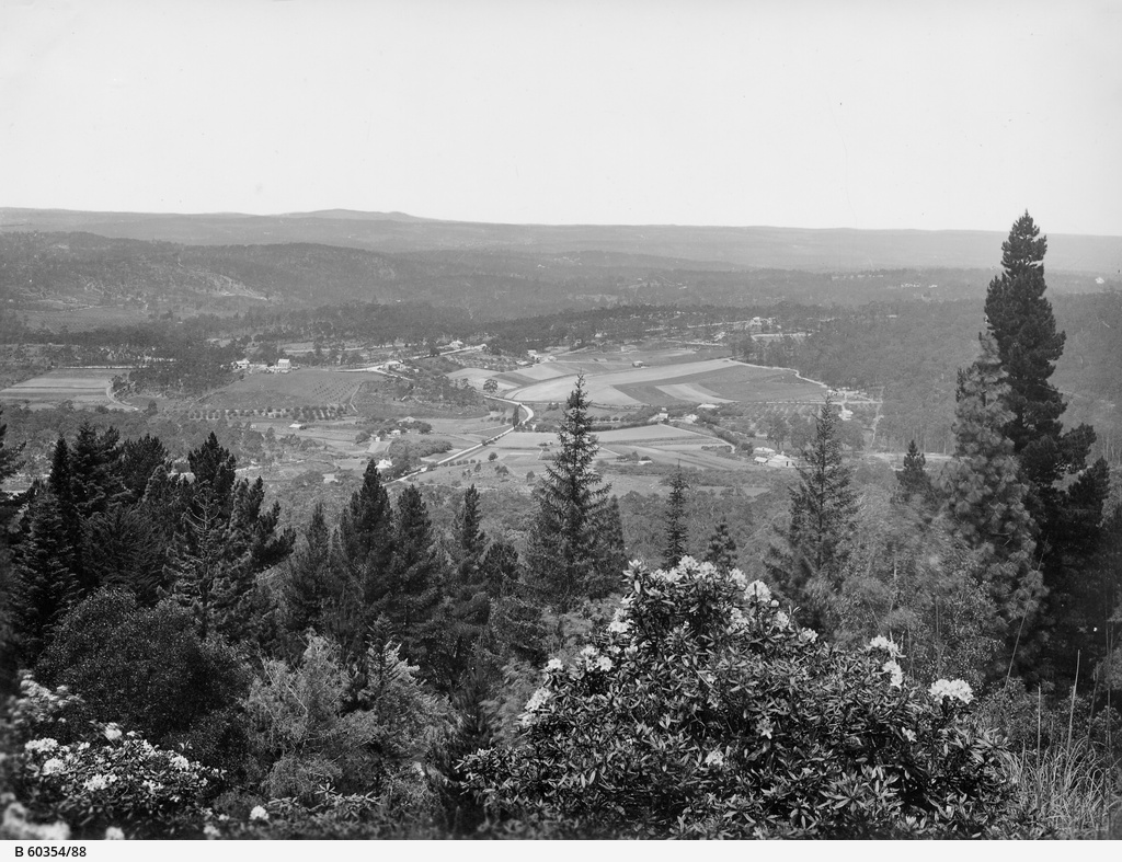 Mount Lofty Ranges • Photograph • State Library of South Australia